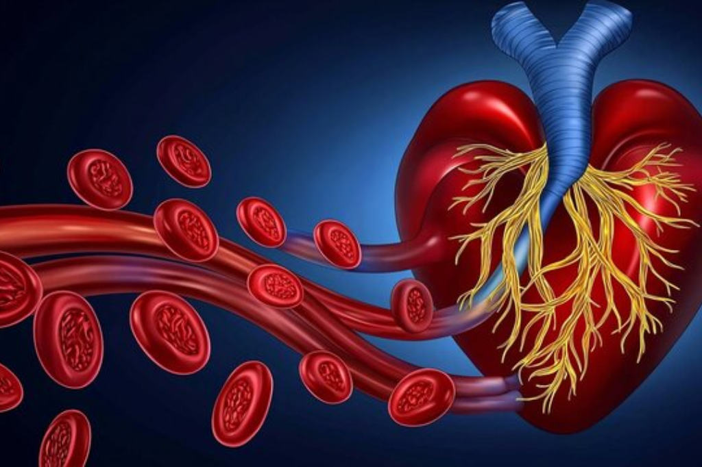 Why Golden Blood Is the Most Precious Blood Type on Earth? – Xorvex