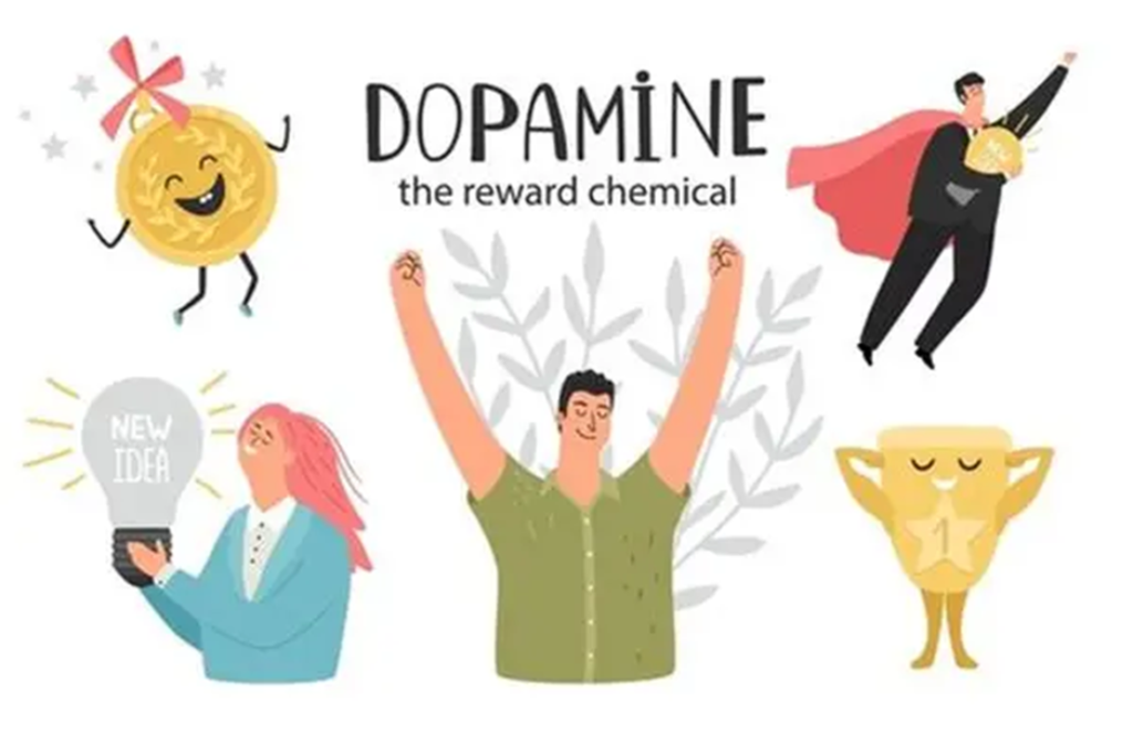 What Dopamine Does And Why Your Brain Chases It – Xorvex