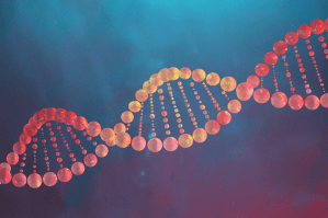 Why Is DNA Called the Blueprint of Life? – Xorvex